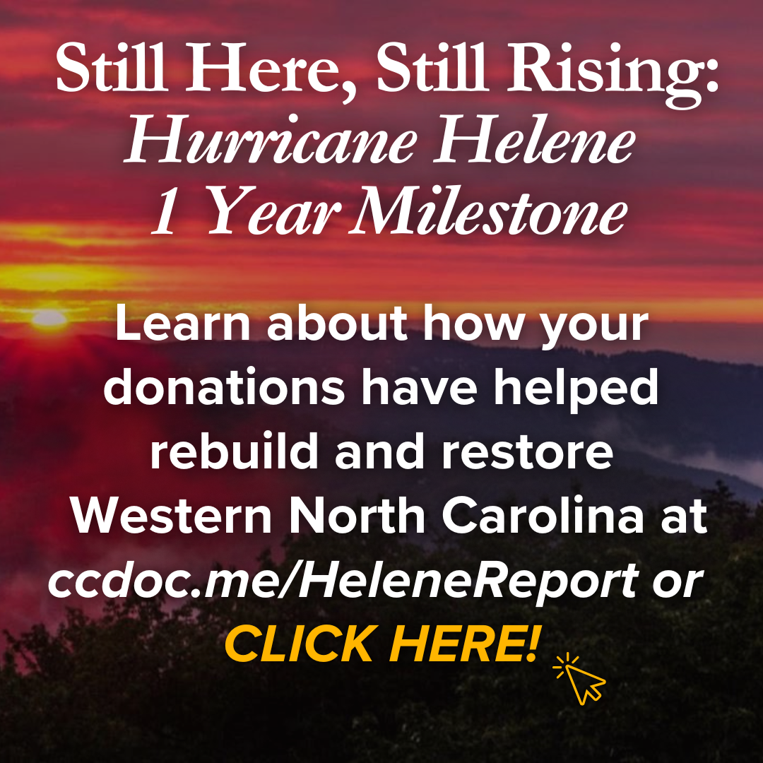 Website – banners (1180 x 160 px) (1080 x 1080 px)-2 – Catholic ...